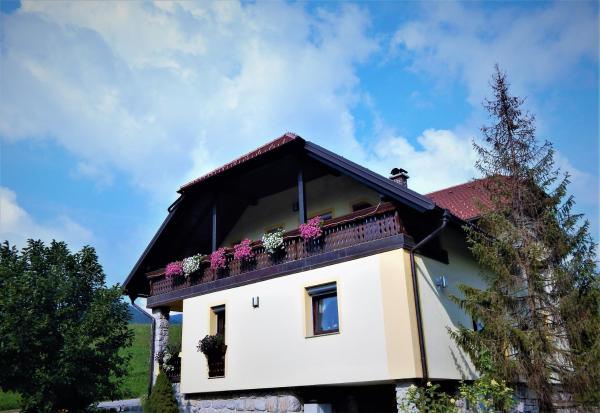 Apartment Ana - Luče