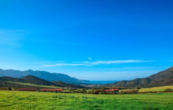 Agriturismo Il Ginepro - Buggerru