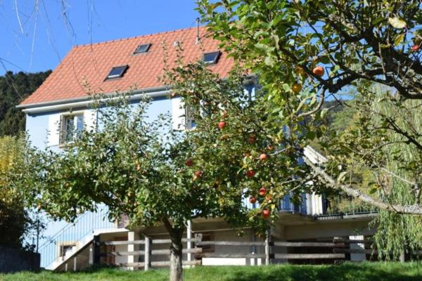 Les Locations De Stéphanie ,Gite Le Verger - Haut-Rhin