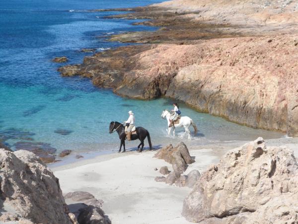 Bahia Bustamante Lodge - Chubut