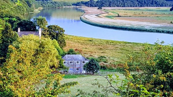 Driftwood Cottage - Tavistock