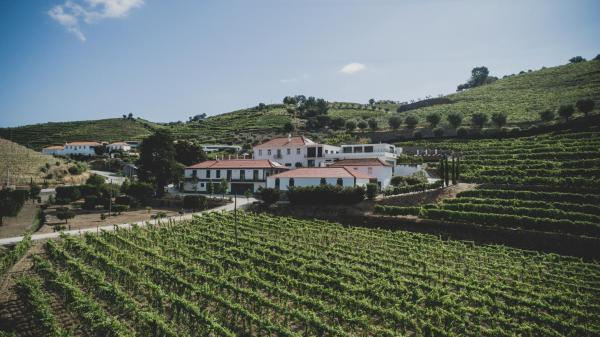 Casal Dos Capelinhos - Douro - Mesão Frio