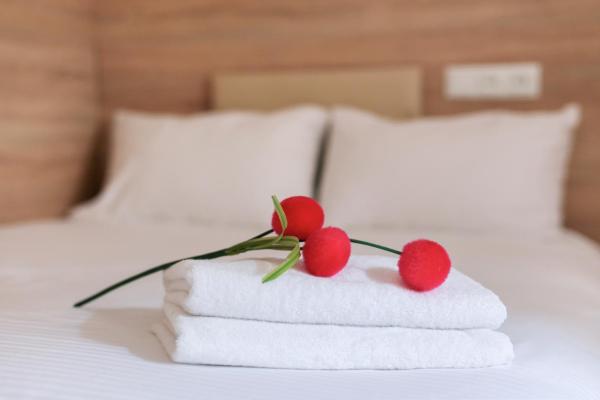 Smart Apartments ЦЕНТР - Lviv