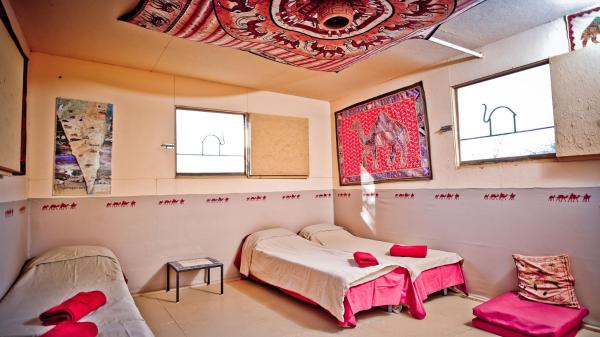 Negev Camel Ranch - Israel