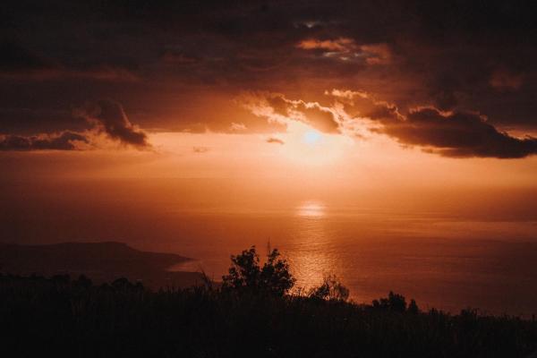 Ferme L'eau De Coco - Saint-Gilles les Bains