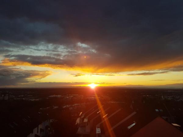 Dachgeschoss In Einem Reihenhaus (Mit Gemeinschaftlichen Räumen) - Schwetzingen