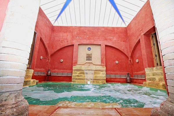 Villa With Sauna Hamman&pool In Seville - Brenes
