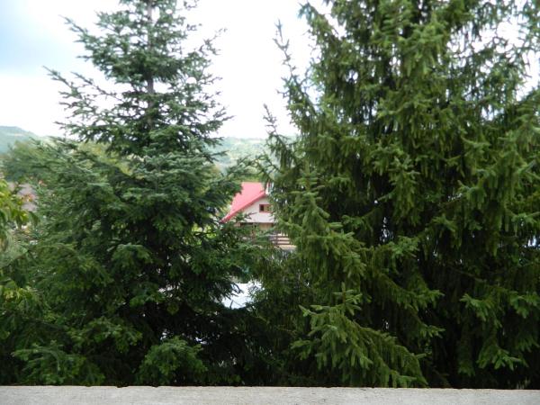 Hotel Breaza - Comarnic