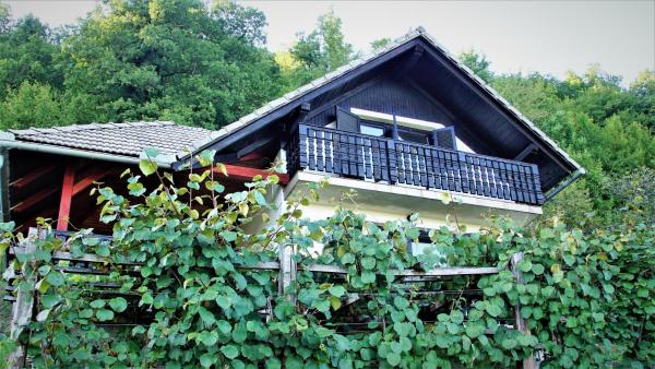 Vineyard Cottage Zajc - Slovénie