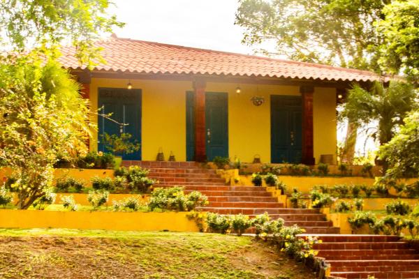 Finca Pamel - Panamá