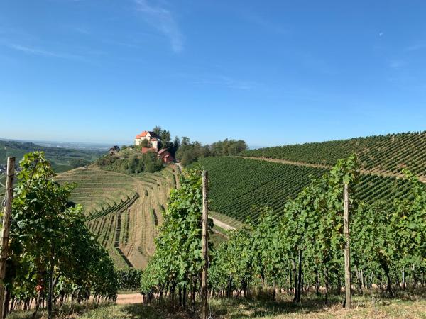 Ferienhaus Laura - Achern