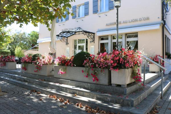 Auberge Au Lion D'or - Gex