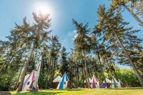 Vakantiepark De Bergen - Holandia