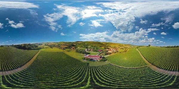 Stupnički Dvori Winery Hotel - Kroatien