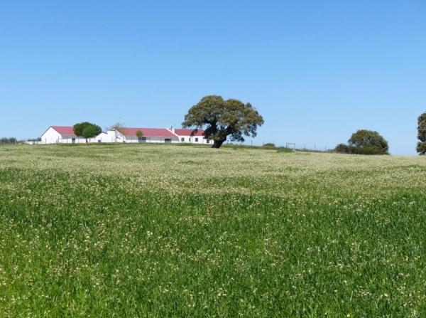 Herdade Da Carapuça- Casa De Campo - Arronches