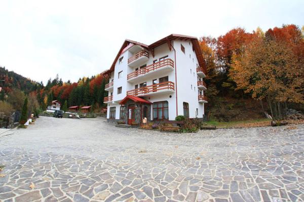 Hotel Paltinis - Transylvania