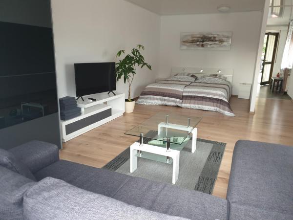 Carina Apartment - Ottmarsheim