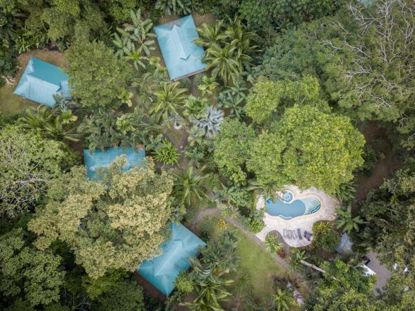 El Nido Jungle Lodge - Punta Cocles