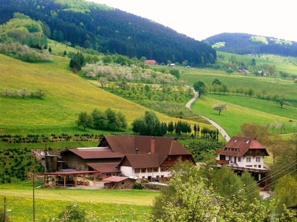 Lunzenhof - Oberharmersbach