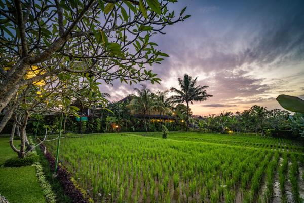 Bliss Ubud Spa Resort - Ubud