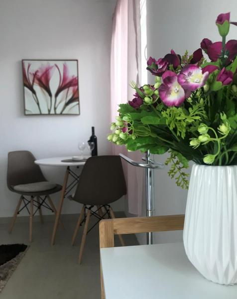Apartmani Breze - Podgorica