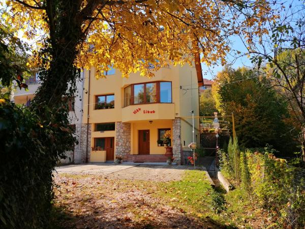 Vila Liana - Brașov, Rumanía