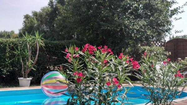 Leander Apartman - Balatonlelle