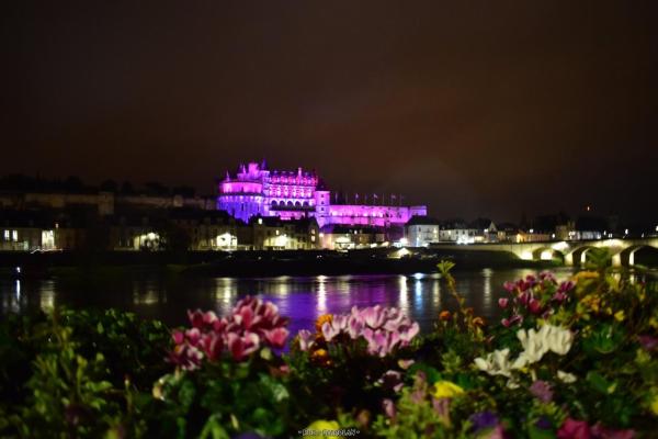 Les Studios De Soizick - Amboise