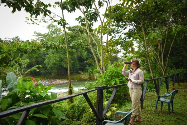 Chilamate Rainforest Eco Retreat - Costa Rica