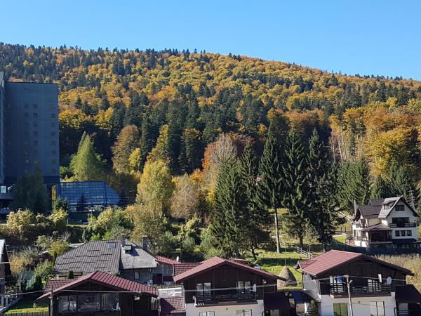 Studio Mountain View - Sinaia