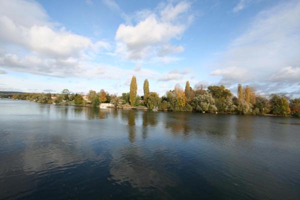 Comme Un Poisson Dans L'eau - Bougival
