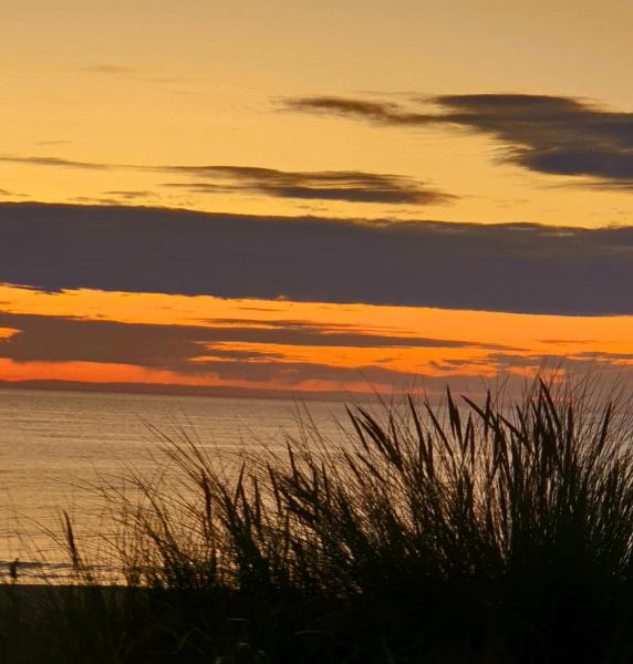 Mobil Home Les Dunes De Contis - France