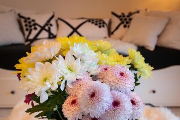 Vasko Luxurious Suites, Mustikka - Rovaniemi