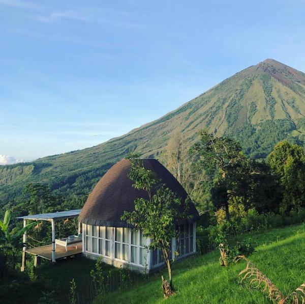 Manulalu Jungle - East Nusa Tenggara