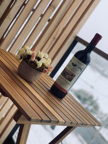 Bakuriani Plaza A317 - Georgia