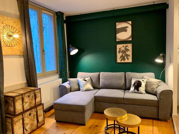 Appartements Des 2 Têtes - Colmar