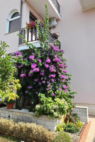 Apartman Sweet Mary - Croacia