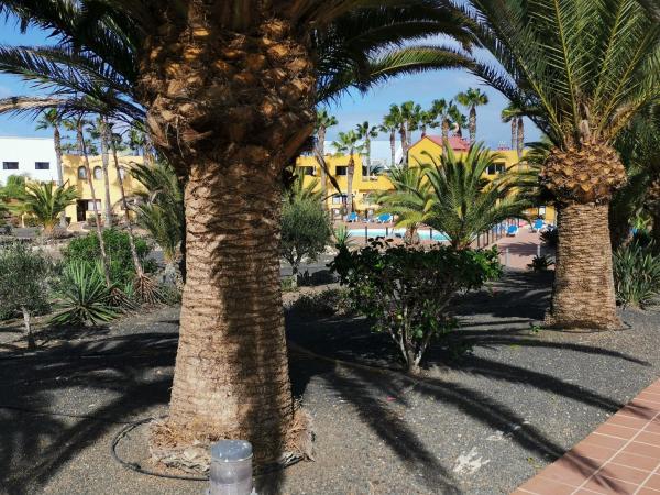 Casa Sun&sand Corralejo - Corralejo