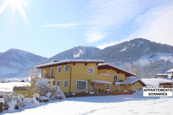 Appartements Sonnwies - Schladming
