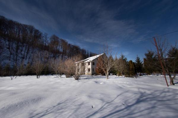 Casa Stirbei - Transylvania