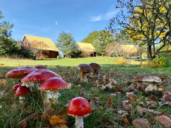 Chalets De L Empereur - Corrèze
