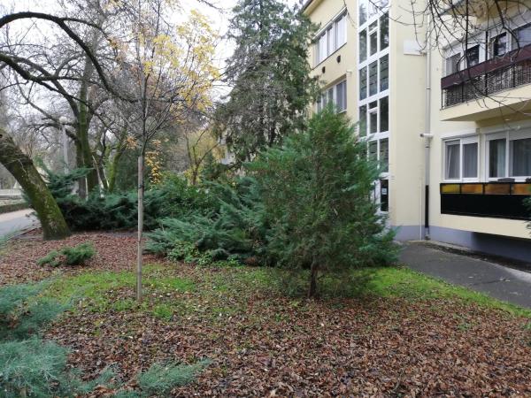 Tulip Family Apartments - Eger