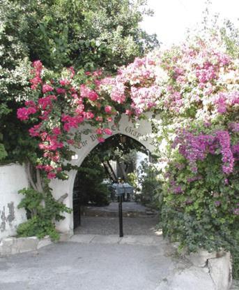 The Bunch Of Grapes Inn - Cyprus