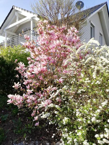 Gästezimmer Ahornweg - Rottweil
