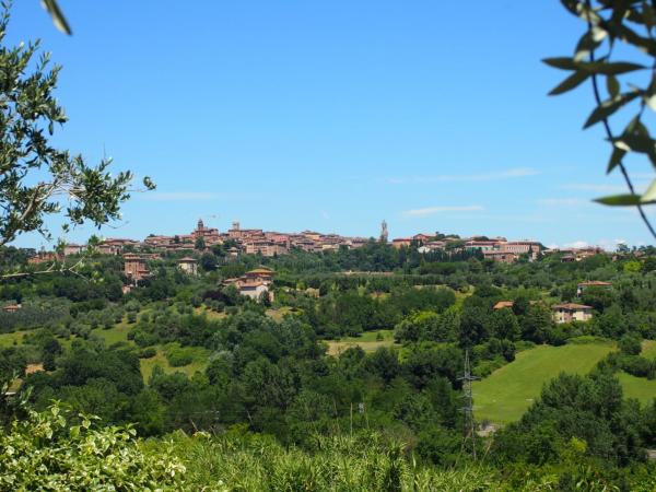 Nell'antica Torre Di Fronte A Siena - Siena