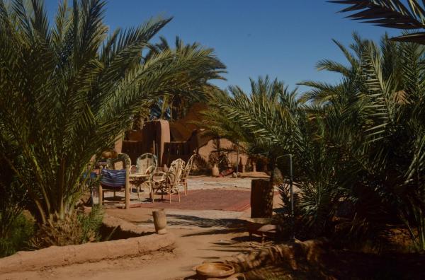 Auberge La Palmeraie - Mhamid