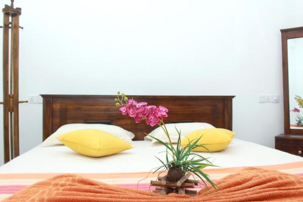 Coconut Tree Shade - Mirissa