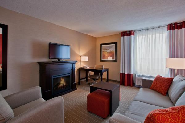 Holiday Inn Express Hotel & Suites Chatham South By Ihg - Ontario