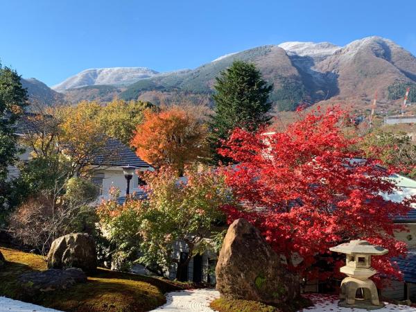 Onsen & Garden -Asante Inn- - Hakone