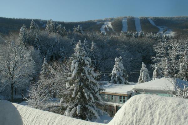 Townhouse W Private Deck & Mt View - Hunter, NY
